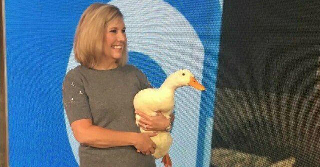 Podcast: AFLAC CMO on Marketing the Iconic Duck with Disney|ABC’s ...