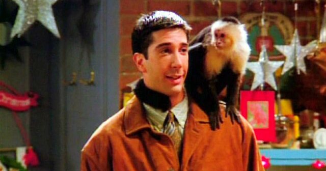 Marcel the Mischievous Monkey: Forever a Friend of "Friends” | MediaVillage