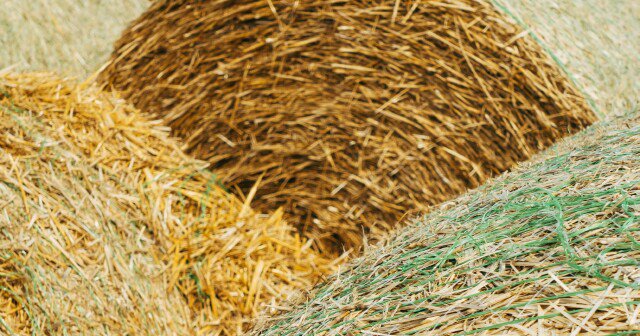 Straws, Scraps and Intuition | MediaVillage