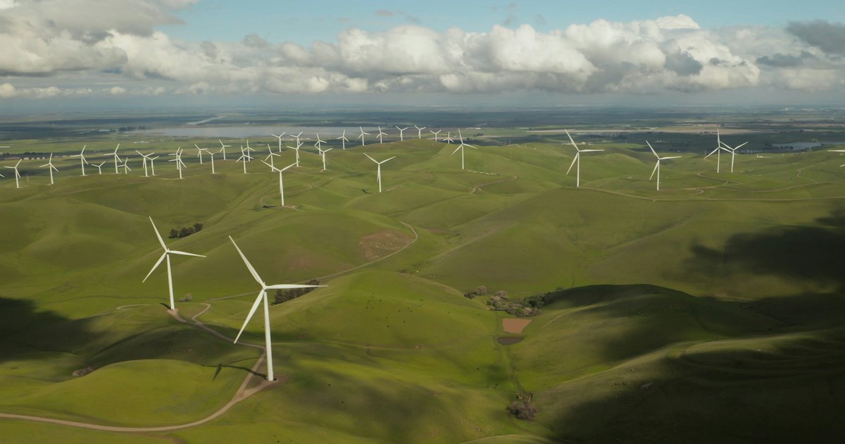 Greenwashing: The Perils of Misleading Sustainability in Advertising ...